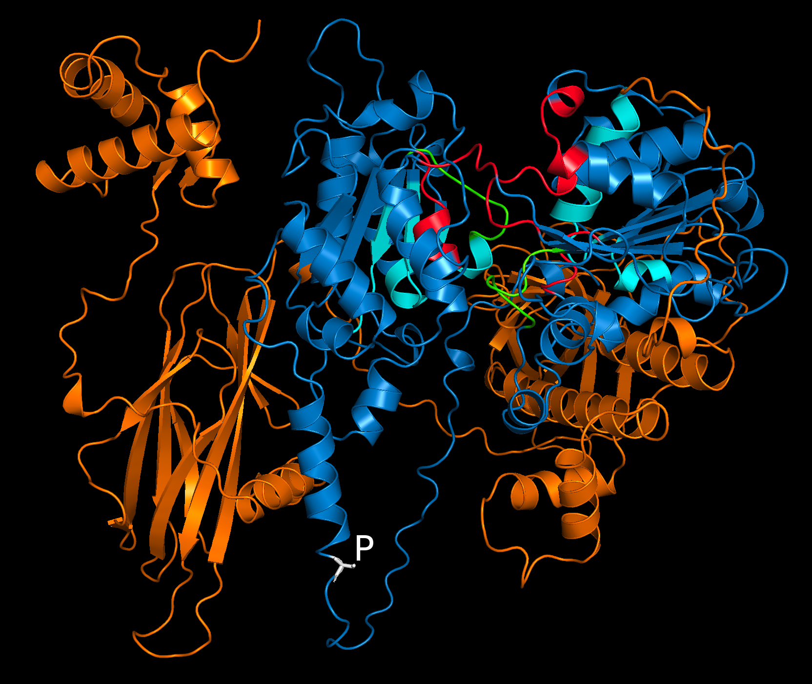 Researchers uncover a regulatory site in RNA helicase MOV10 and its ...